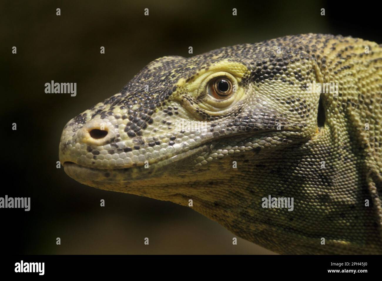 Comodomonitor hi-res stock photography and images - Alamy