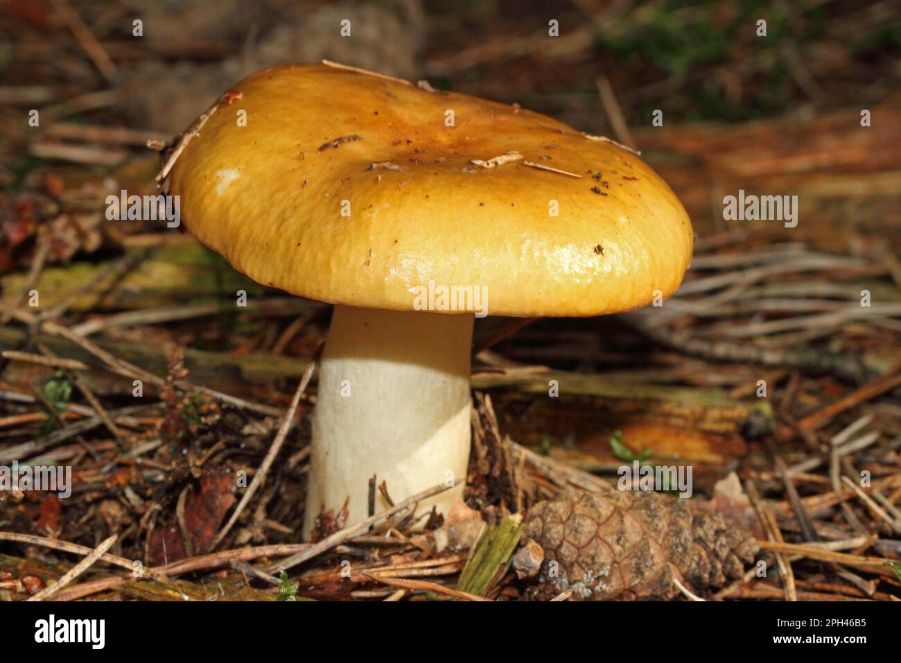 Sublime hi-res stock photography and images - Alamy