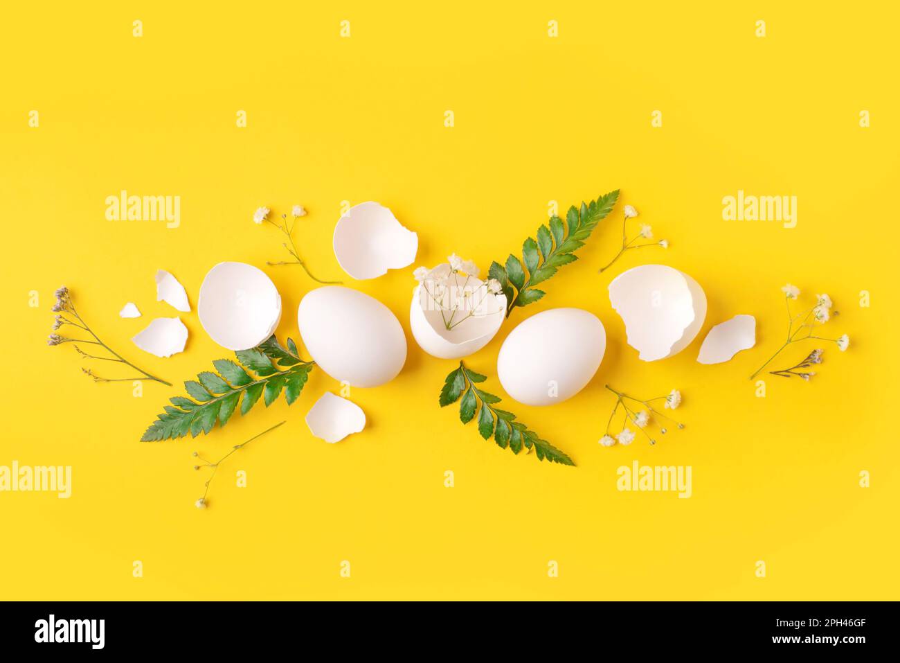 White Easter eggs and shells on a bright yellow background Stock Photo ...