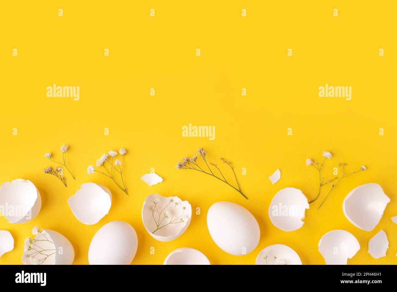White Easter eggs and shells on a bright yellow background Stock Photo ...
