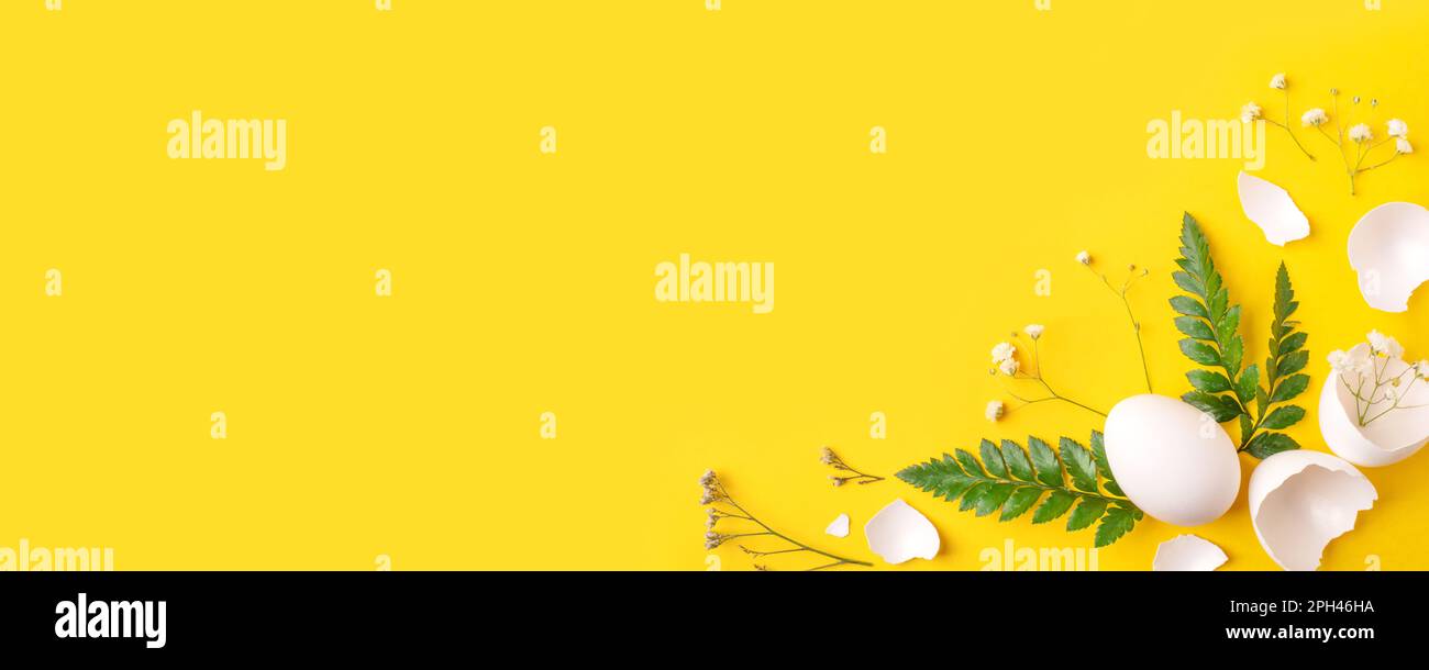 White Easter eggs and shells on a bright yellow background Stock Photo ...