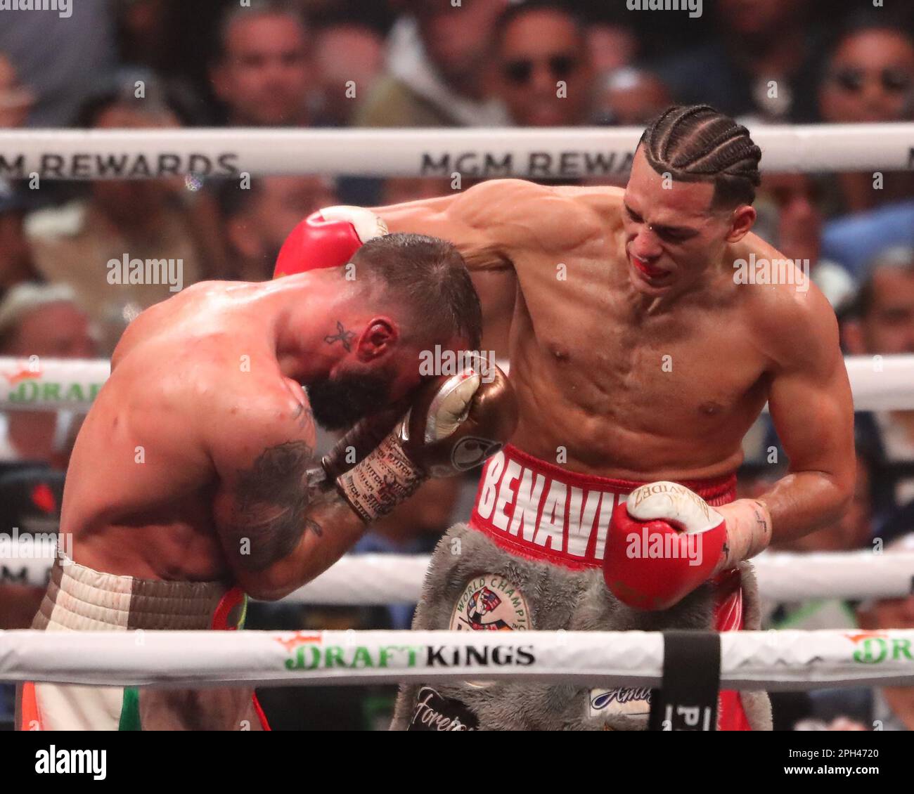 Caleb plant boxing hi-res stock photography and images - Alamy