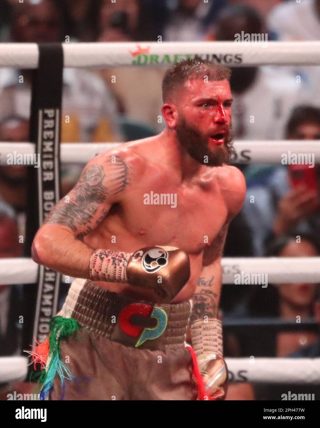Caleb plant boxing hi-res stock photography and images - Alamy