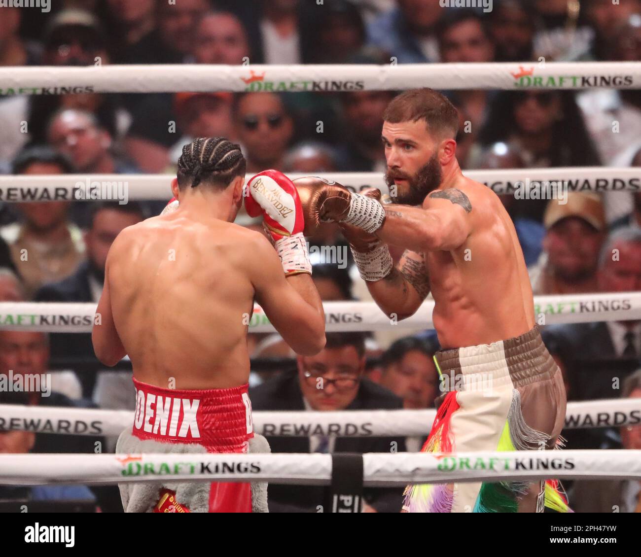 Caleb plant boxing hi-res stock photography and images - Alamy
