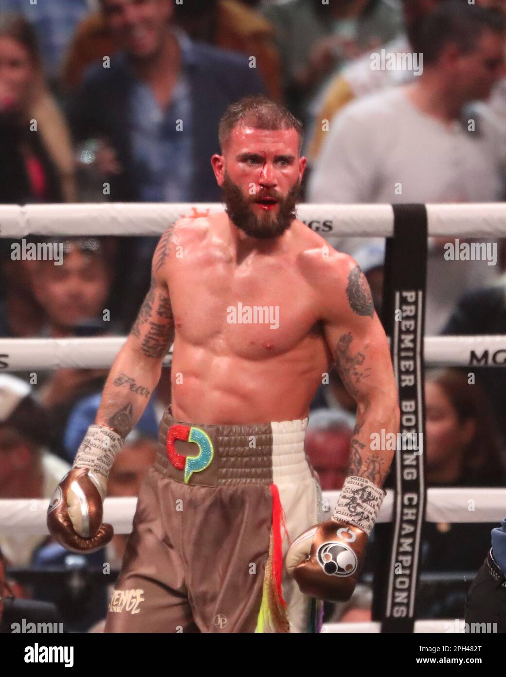 Caleb plant boxing hi-res stock photography and images - Alamy
