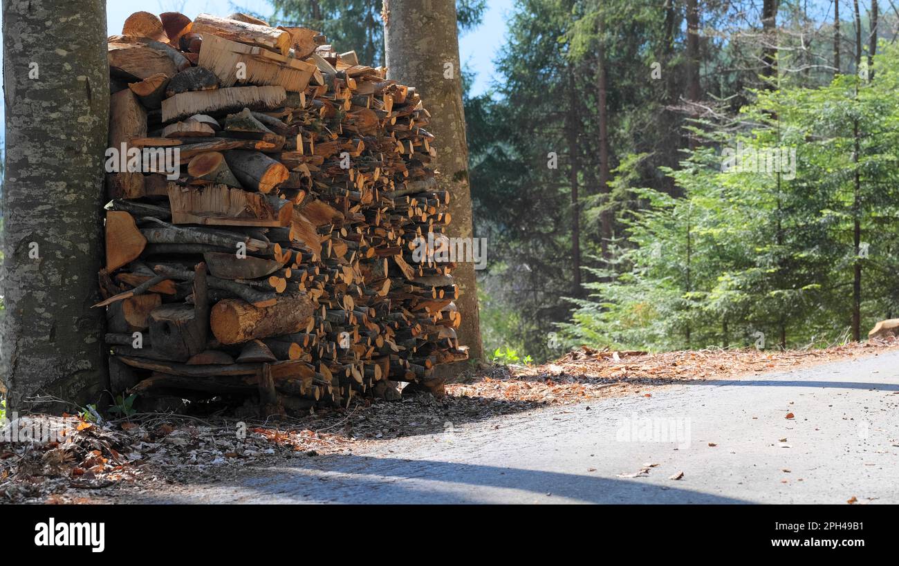 Wooden pole on the edge of a forest path with trees in the background ...