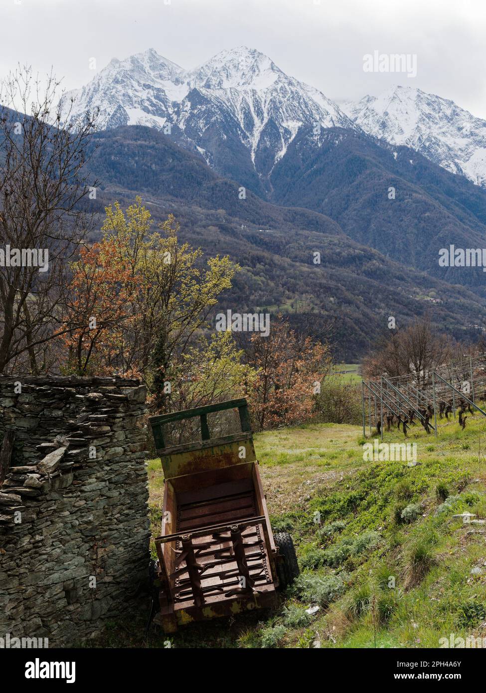 Disused trailer and derelict stone building next to a Vineyard beneath ...