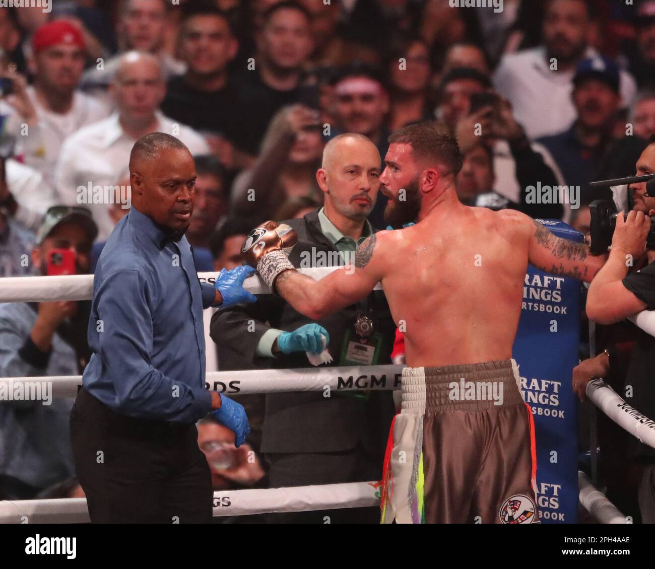 Caleb plant boxing hi-res stock photography and images - Alamy