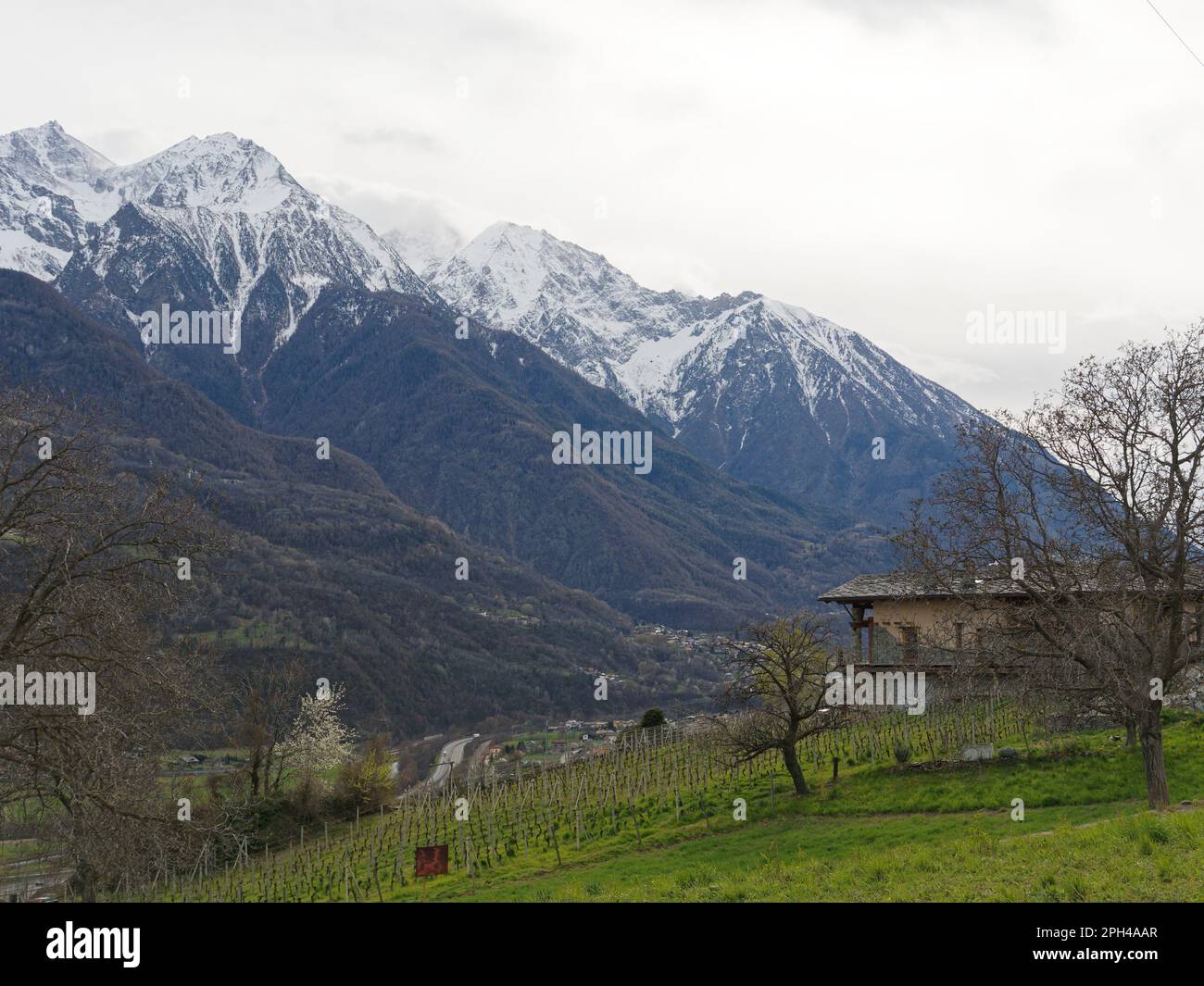 Les Granges farmhouse and vineyard with snow-capped mountains in the ...