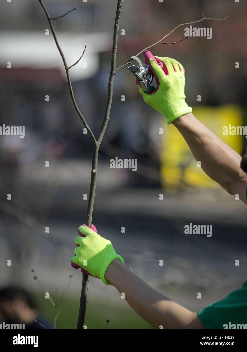 Shallow depth of field (selective focus) details with the hands of a ...