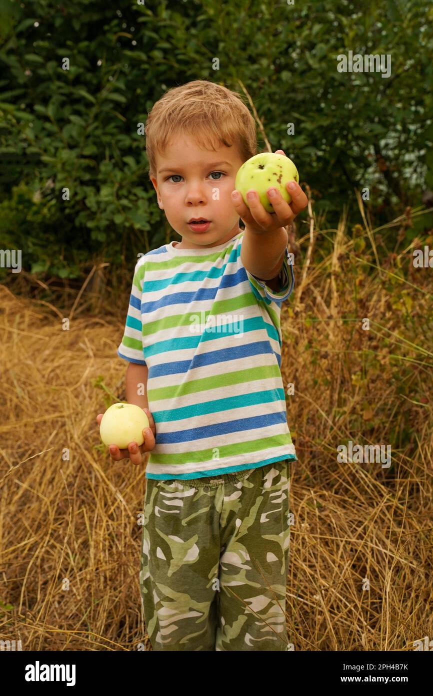 A little boy in a summer garden offers a fresh apple in an outstretched ...