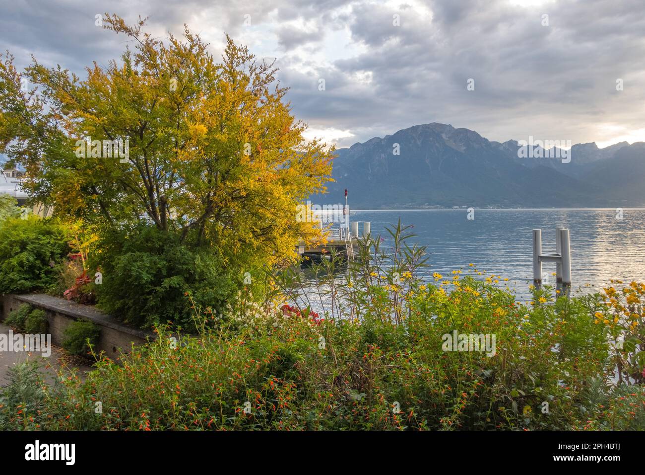 Panoramic sunset view of Lake Geneva, Switzerland with tree and flowers ...