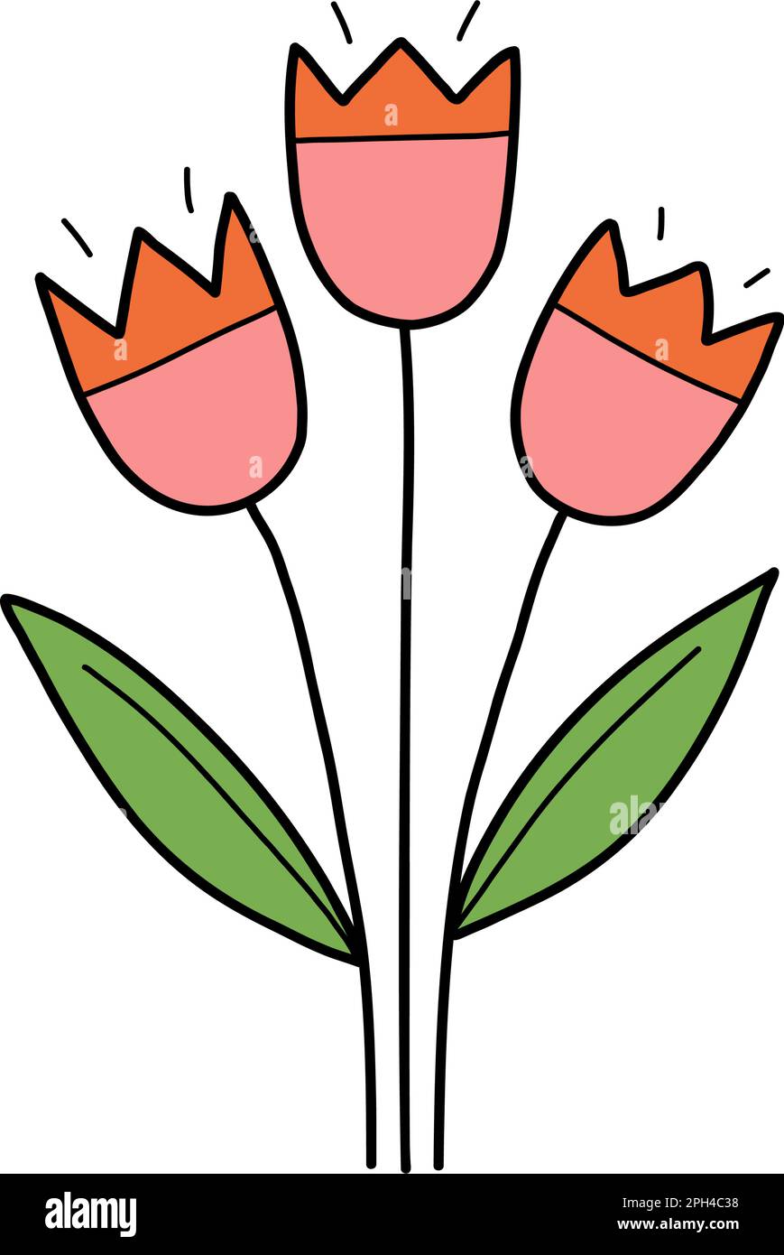 Tulip spring flower vector doodle illustration. Floral cute outline ...