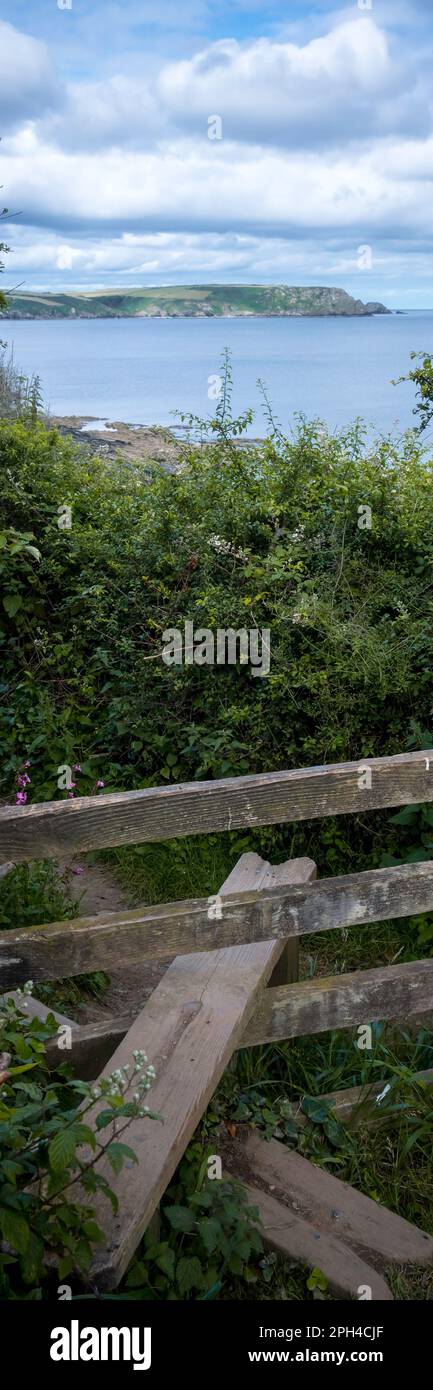 Footpath coastal at Roseland Peninsula, Cornwall uk Stock Photo - Alamy