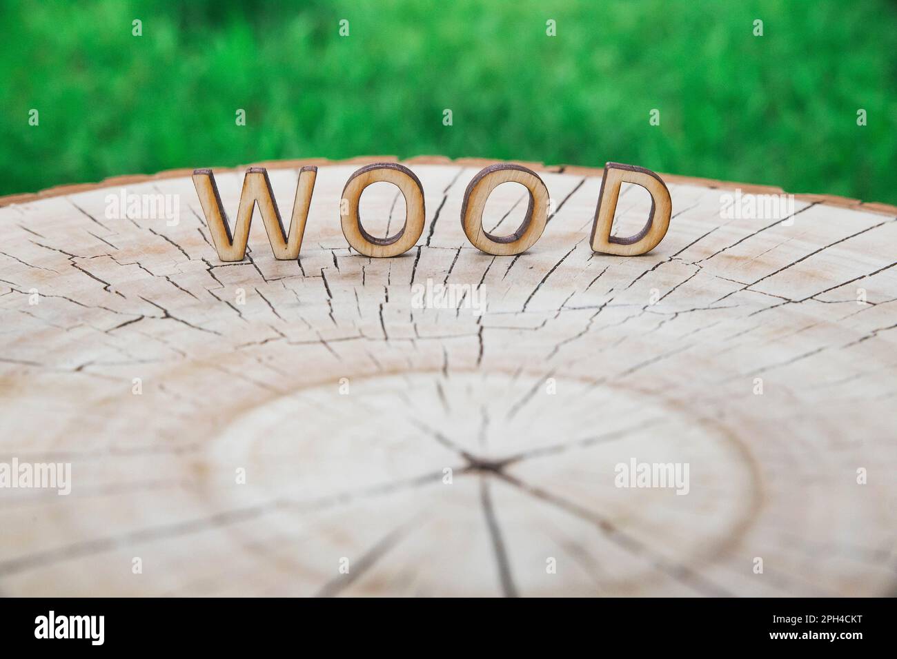 the inscription wood made of wooden letters on stump in the forest ...