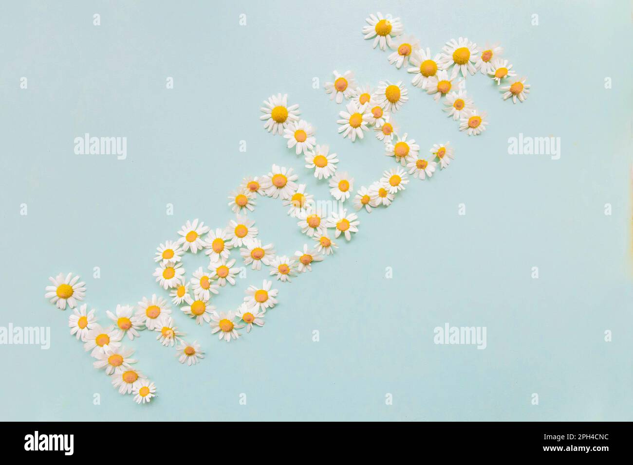 The word Health made by daisies on a blue background Stock Photo - Alamy