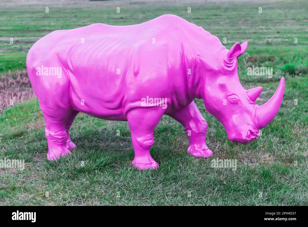 Rhino plastic hi-res stock photography and images - Alamy