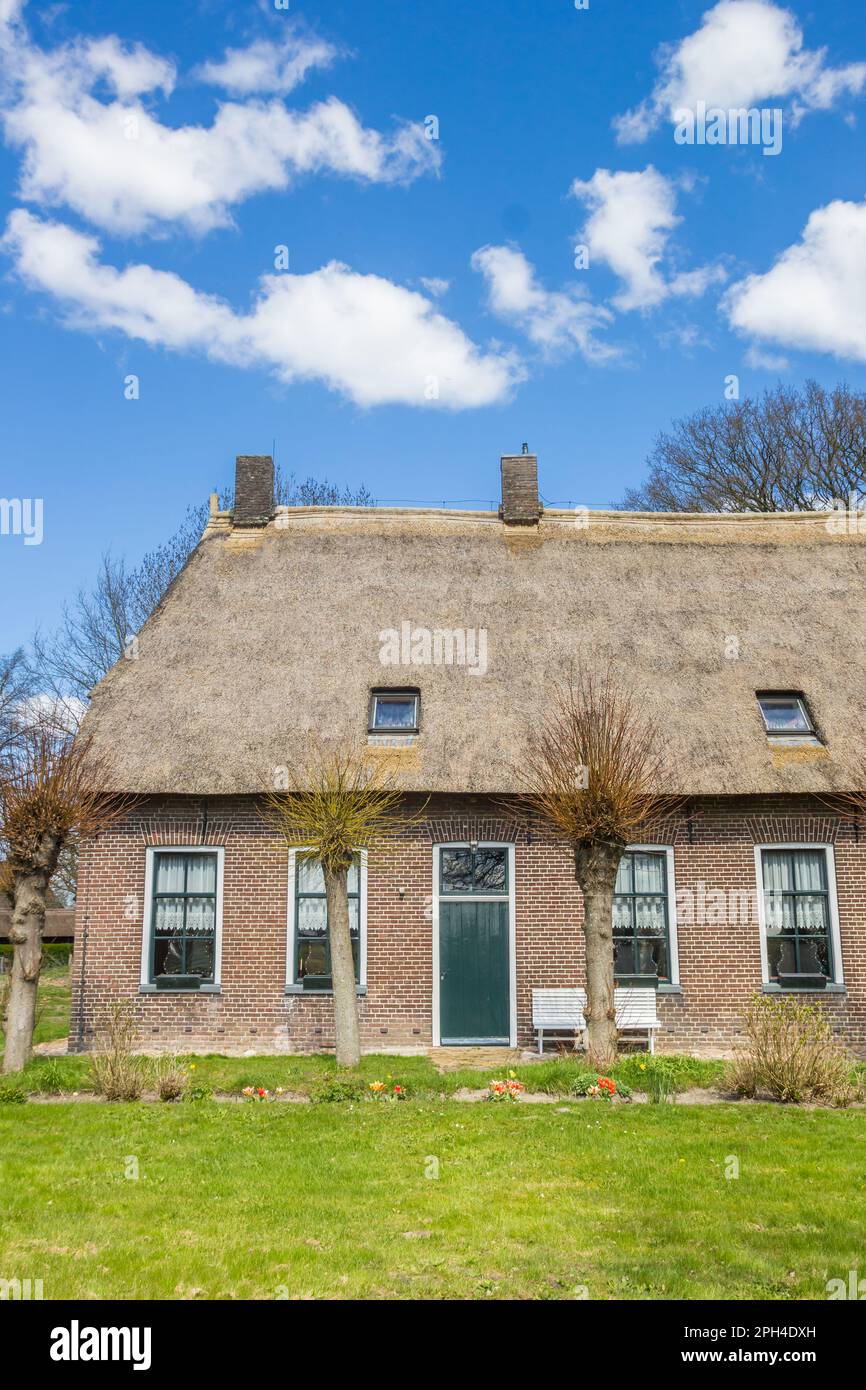 Farmhouse with thatched roof hi-res stock photography and images - Alamy