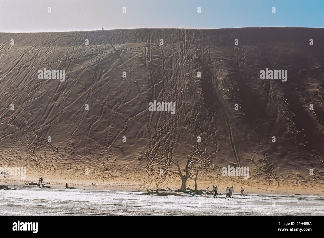 Landscape shot of the iconic dead trees of the Namibian deadvlei area ...