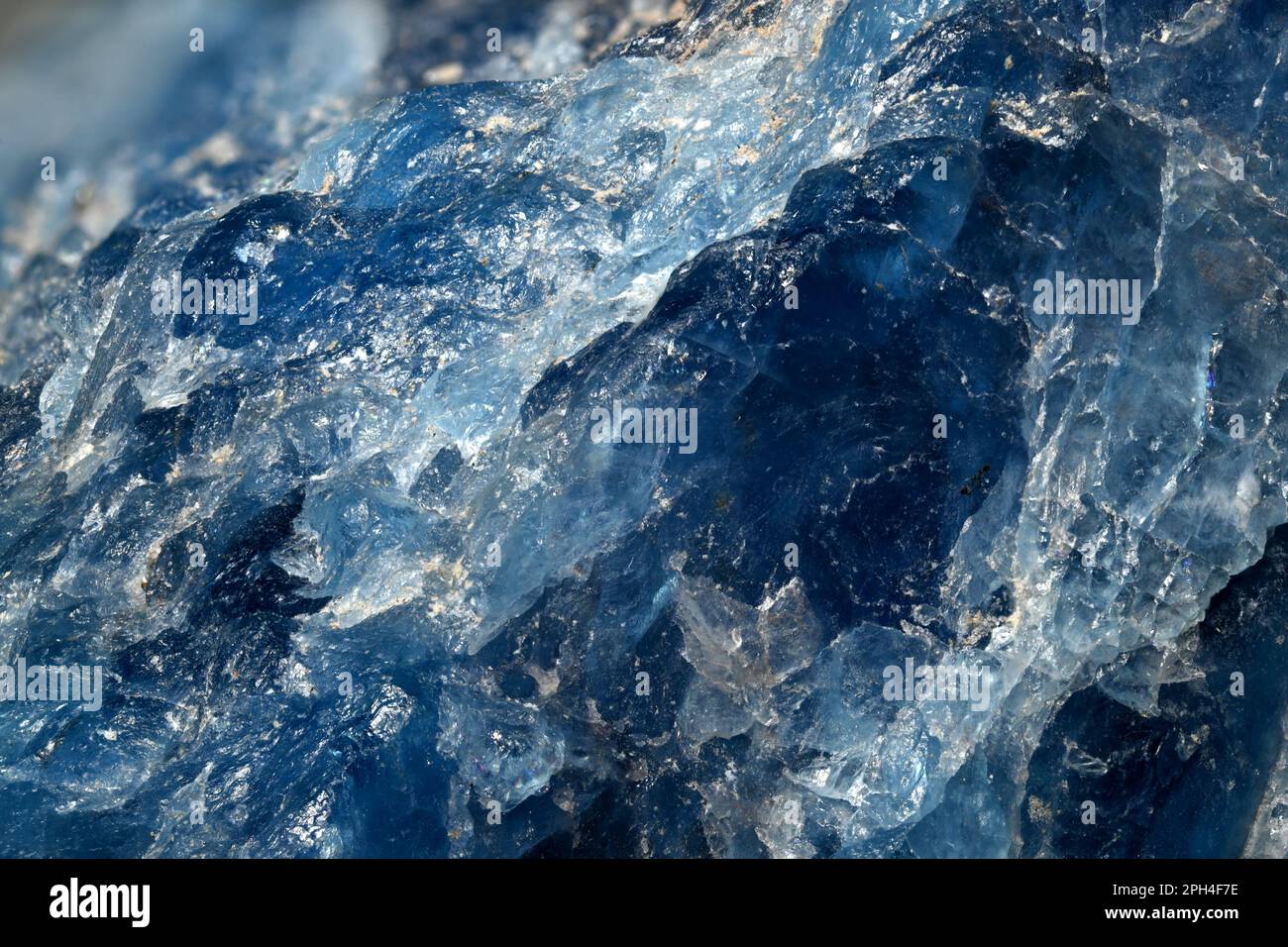 Apatite crystals (calcium phosphate) Ca10(PO4)6(OH,F,Cl)2. Closeup ...