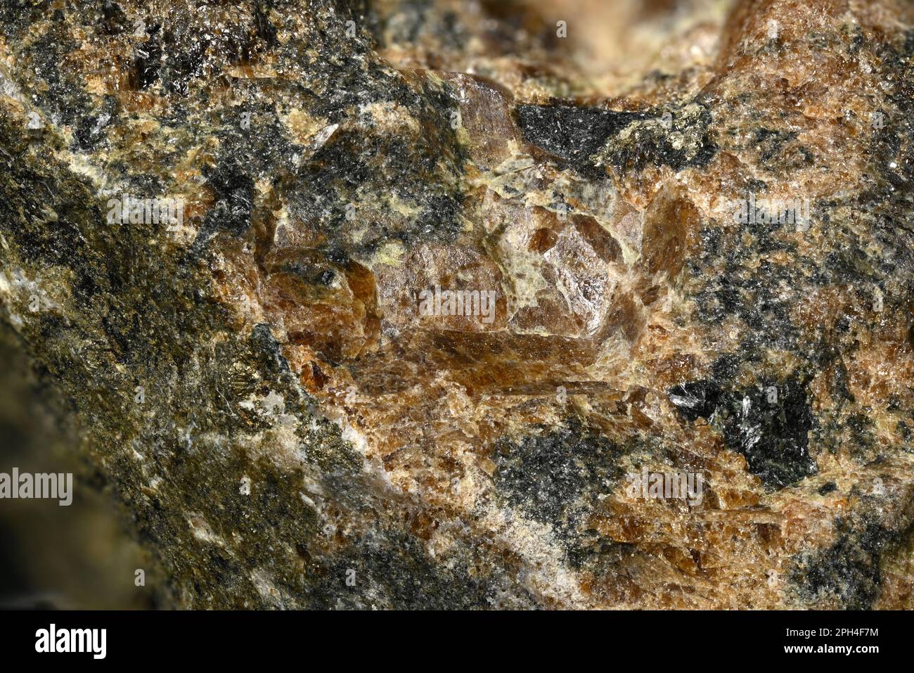 Andradite (form of Garnet) - sample from Mexico. Closeup [Image frame ...