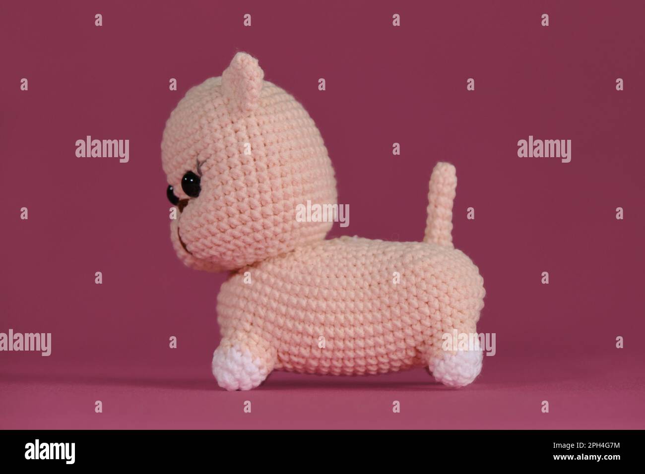 Cute little crocheted cat, handmade art. Amigurumi kitten doll on pink ...