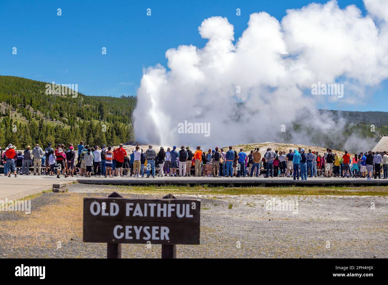 Famous Old Faithful Geyser in Yellowstone National Park in USA Stock ...