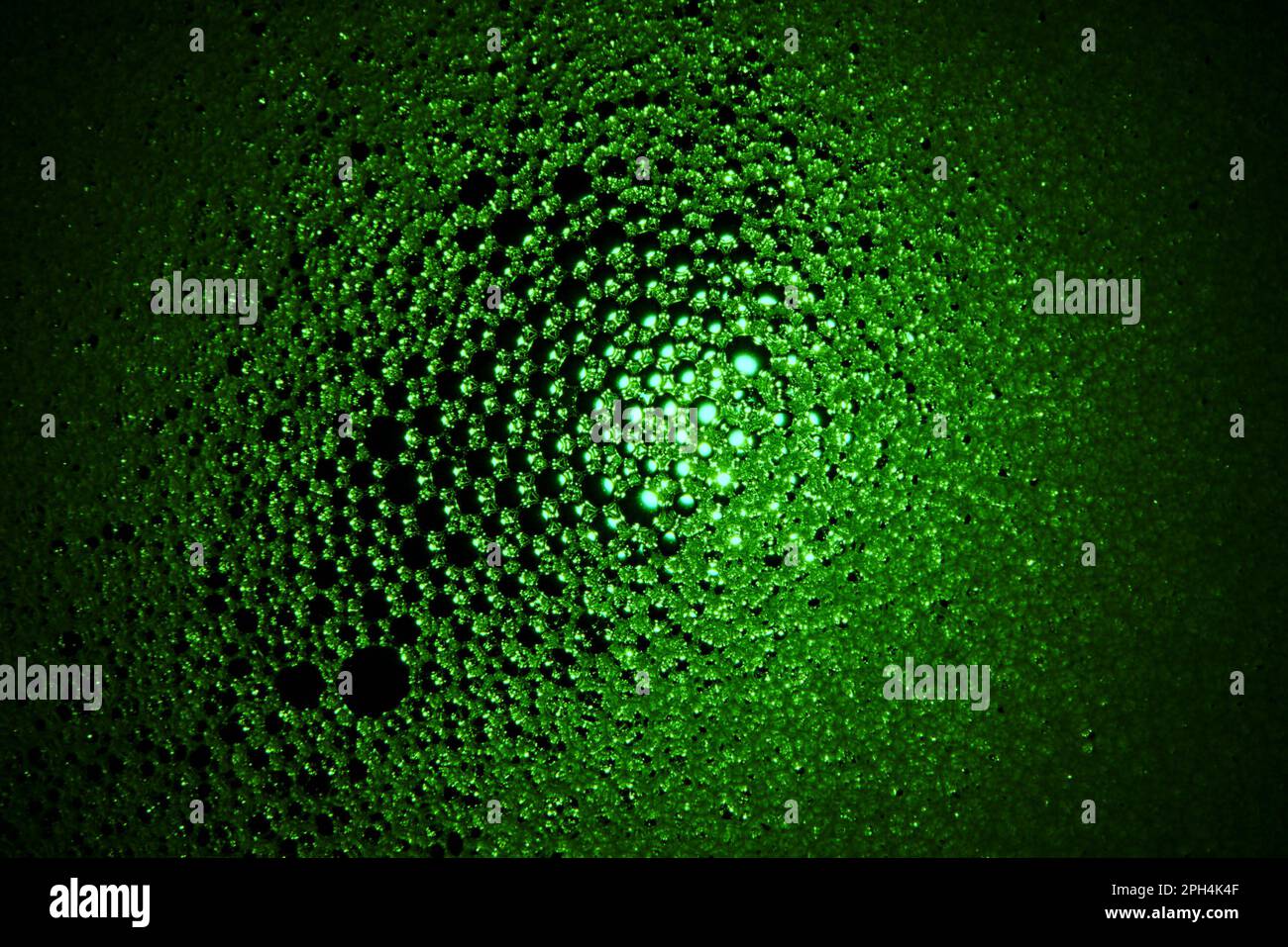 Square social media template hi-res stock photography and images - Alamy