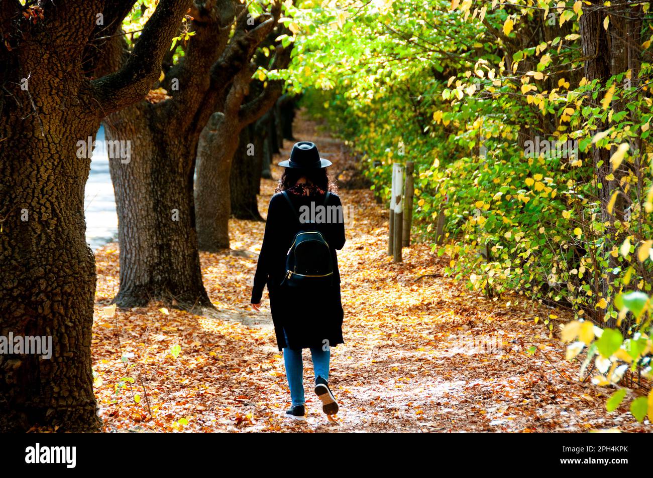 Autumn in Hahndorf - South Australia Stock Photo - Alamy