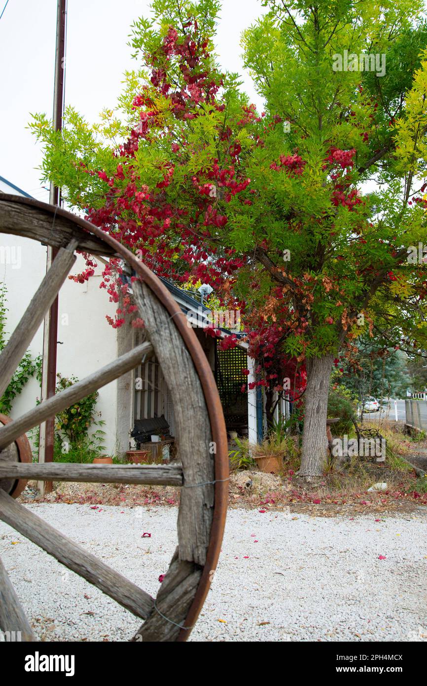 Autumn in Hahndorf - South Australia Stock Photo - Alamy