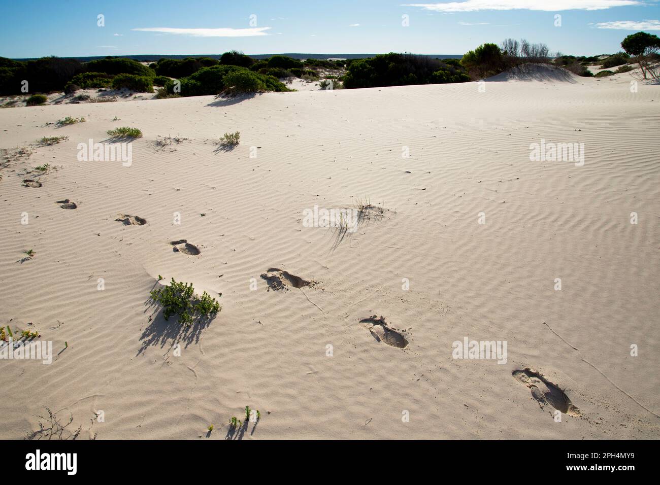 Eucla National Park - Western Australia Stock Photo - Alamy