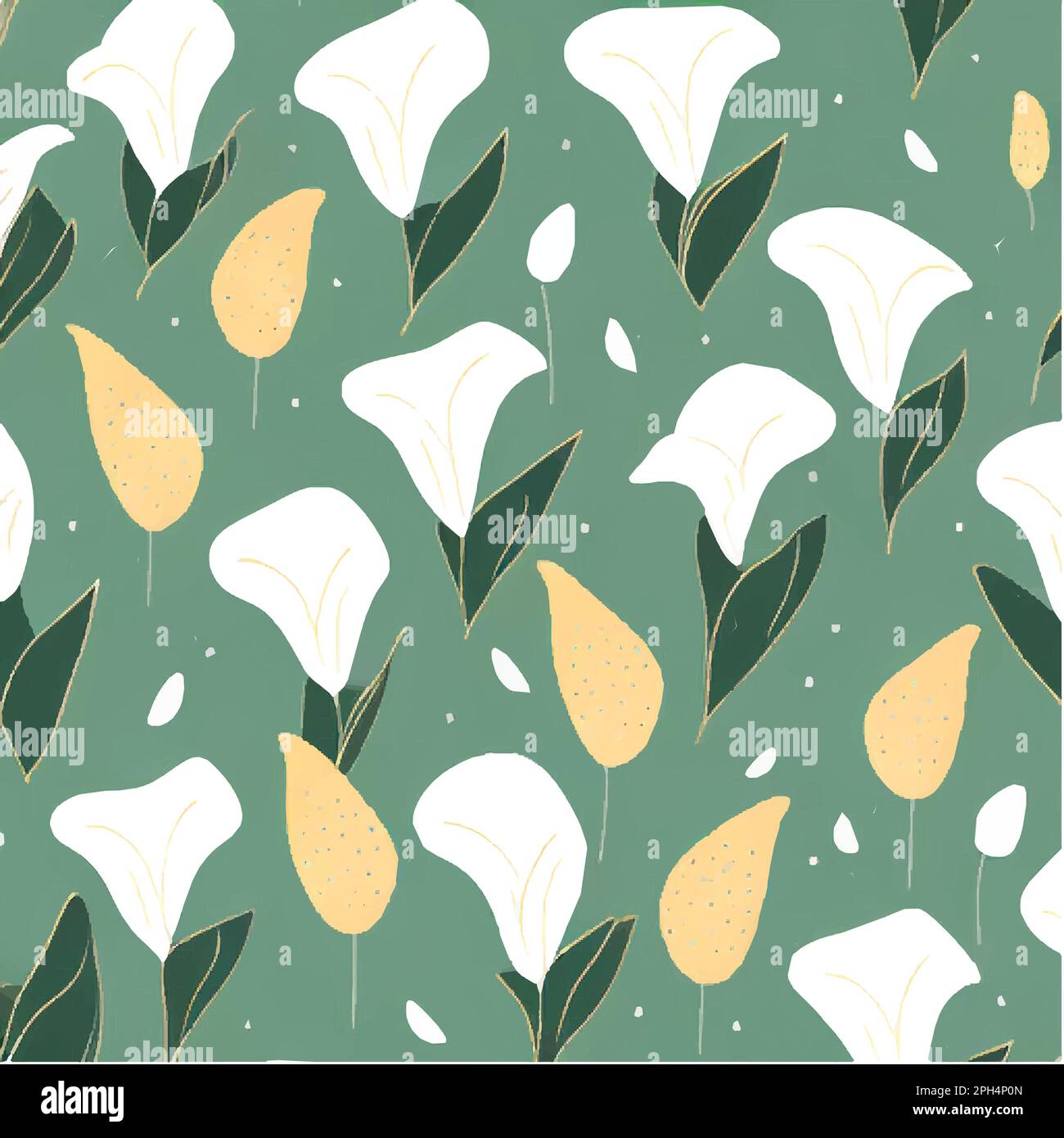 Graceful calla lily hi-res stock photography and images - Alamy