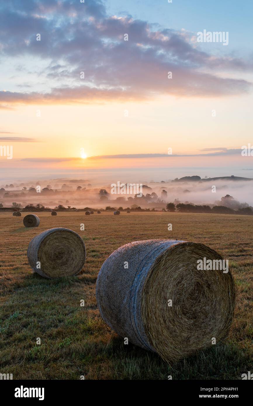 Circular hay hi-res stock photography and images - Alamy