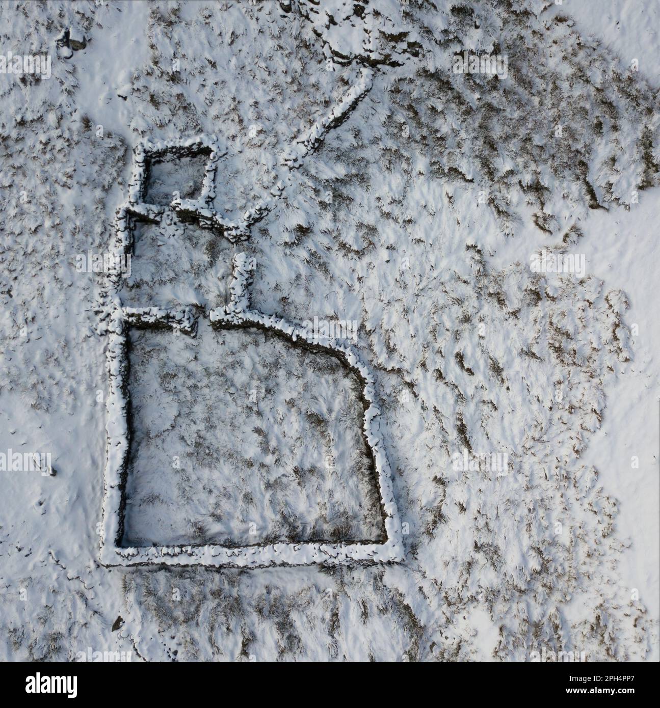 Stone wall sheep fold hi-res stock photography and images - Alamy