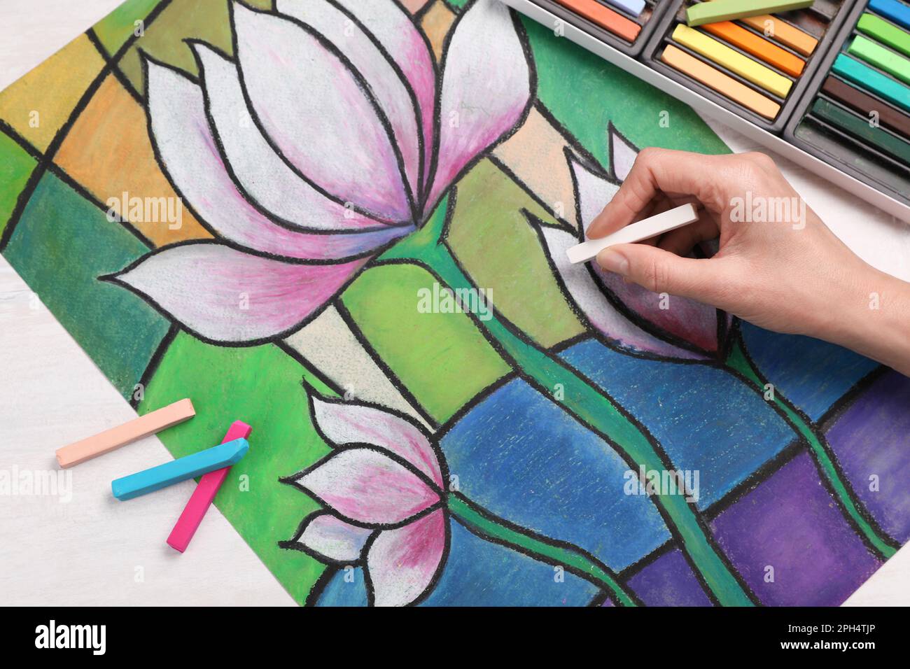 Beautiful Lotus Flower Drawing