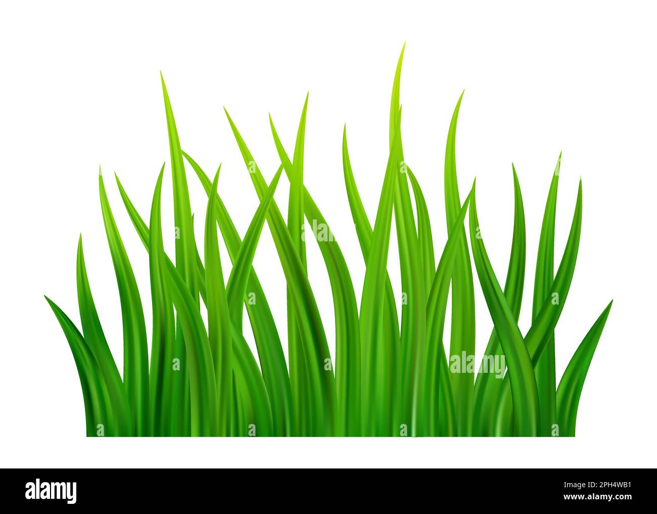 Green grass meadow border Stock Vector Image & Art - Alamy