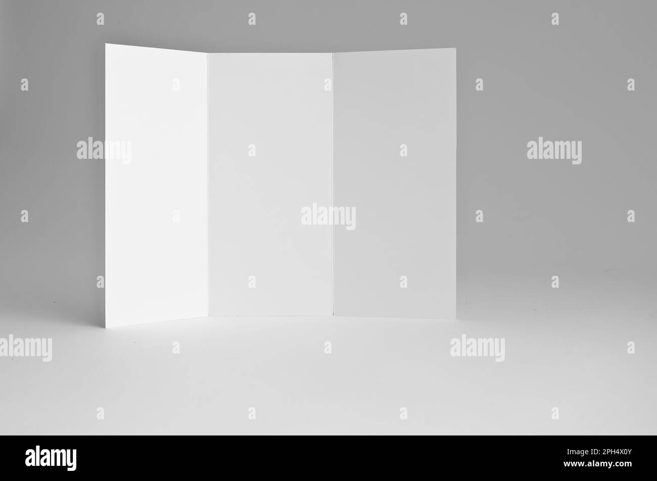 DL Tri-Fold Brochure 3D Rendering Stock Photo - Alamy