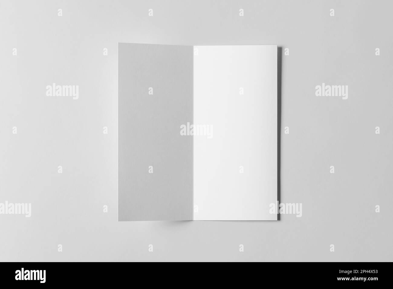 DL Tri-Fold Brochure 3D Rendering Stock Photo - Alamy