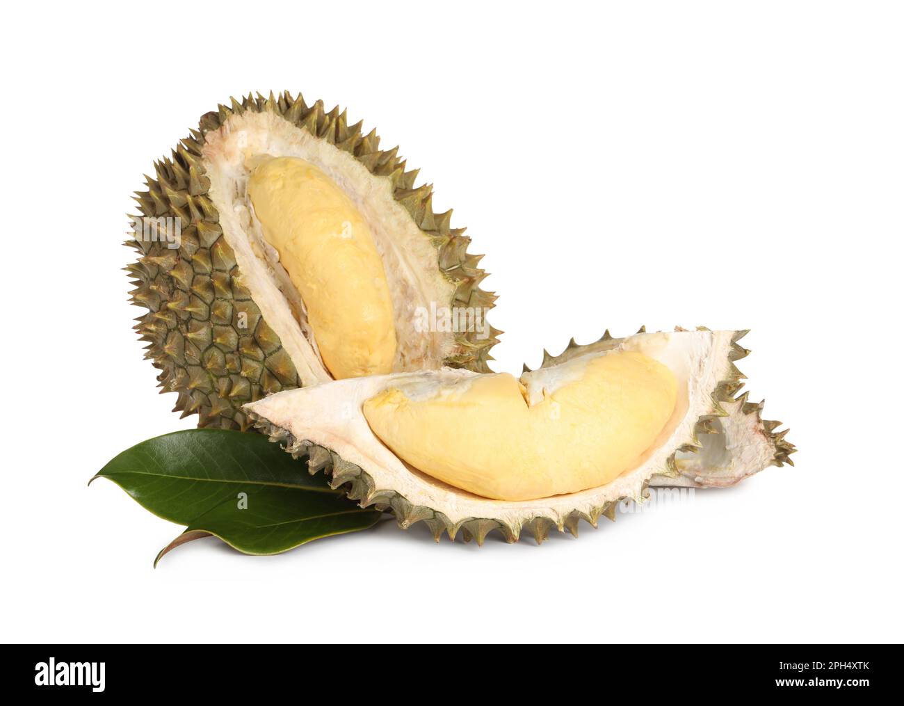 Fresh ripe durian with green leaves on white background. Tropical fruit ...