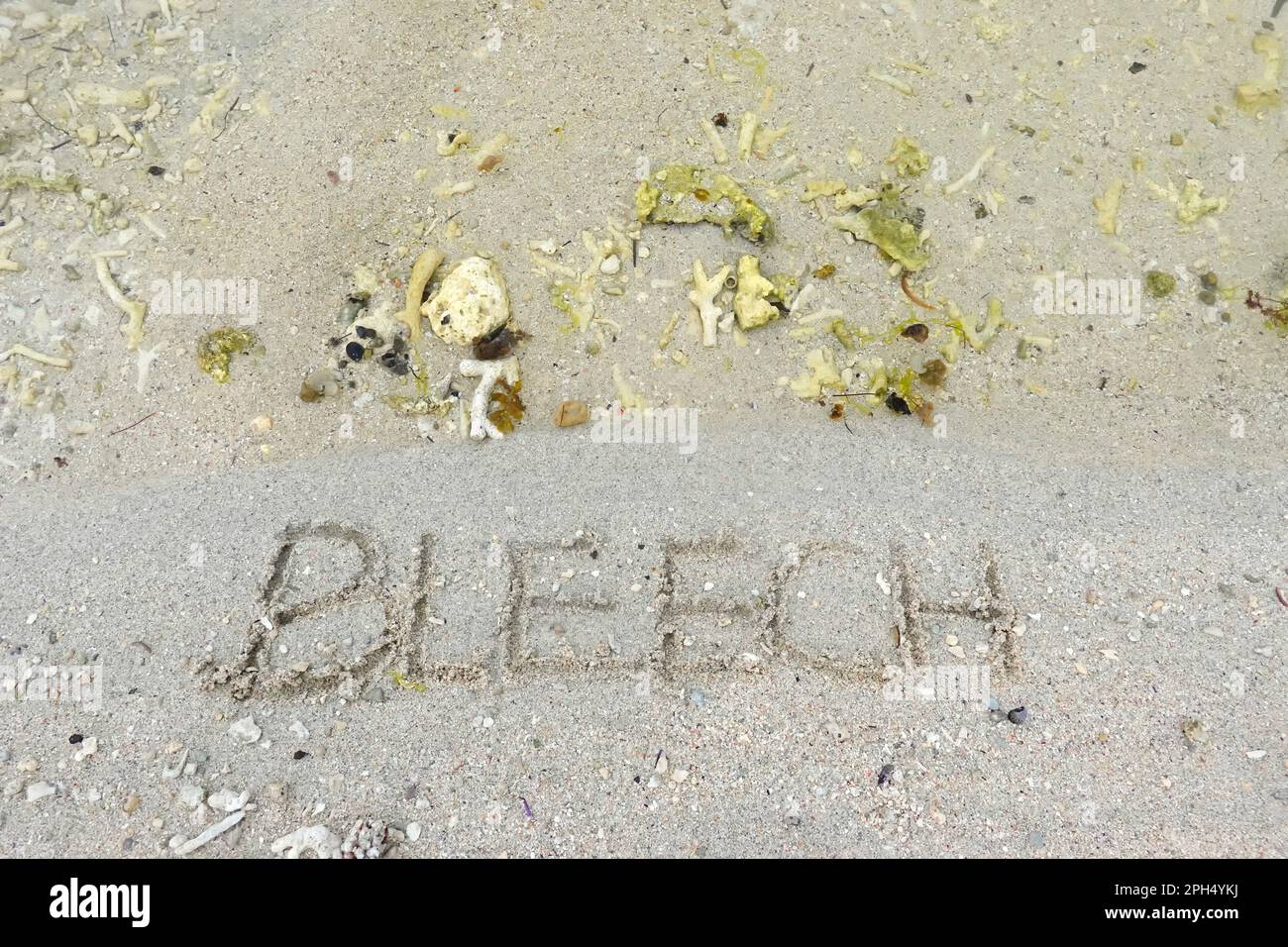 Australian beach litter hi-res stock photography and images - Alamy