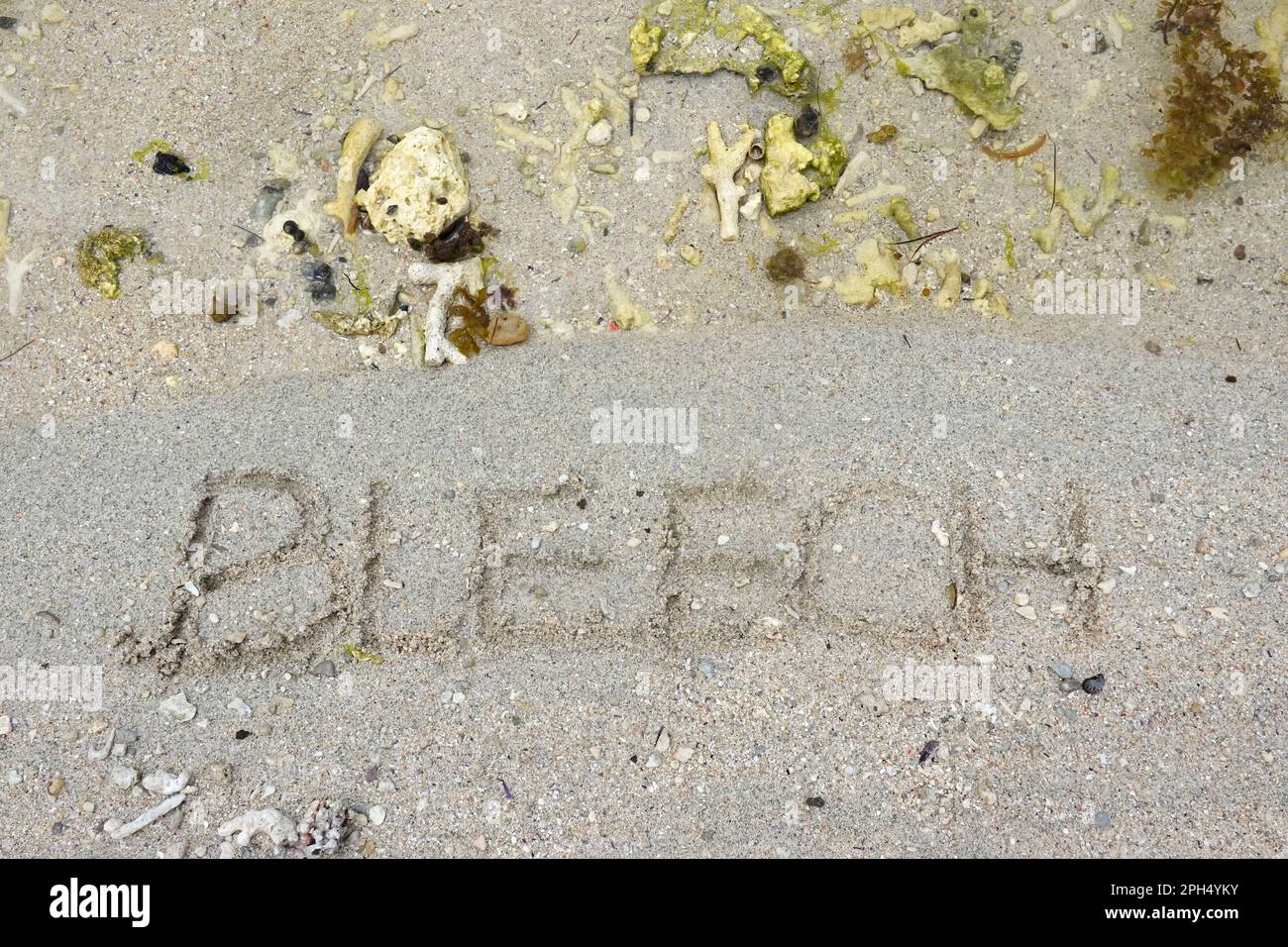 Coral bleaching, beach, Mauritius, Spelling mistake, Write error Stock ...