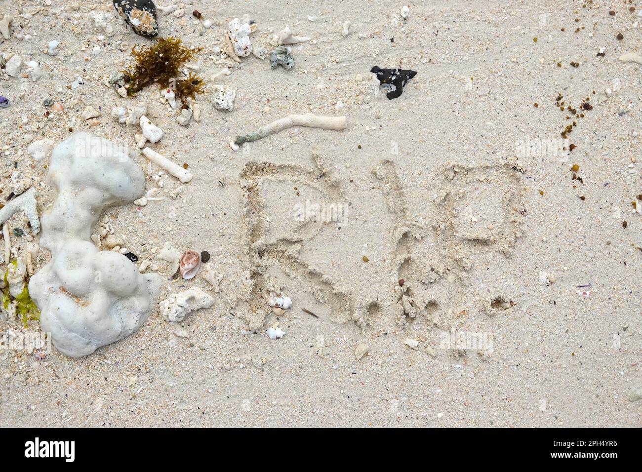 Coral bleaching, beach, Mauritius, Spelling mistake, Write error Stock ...