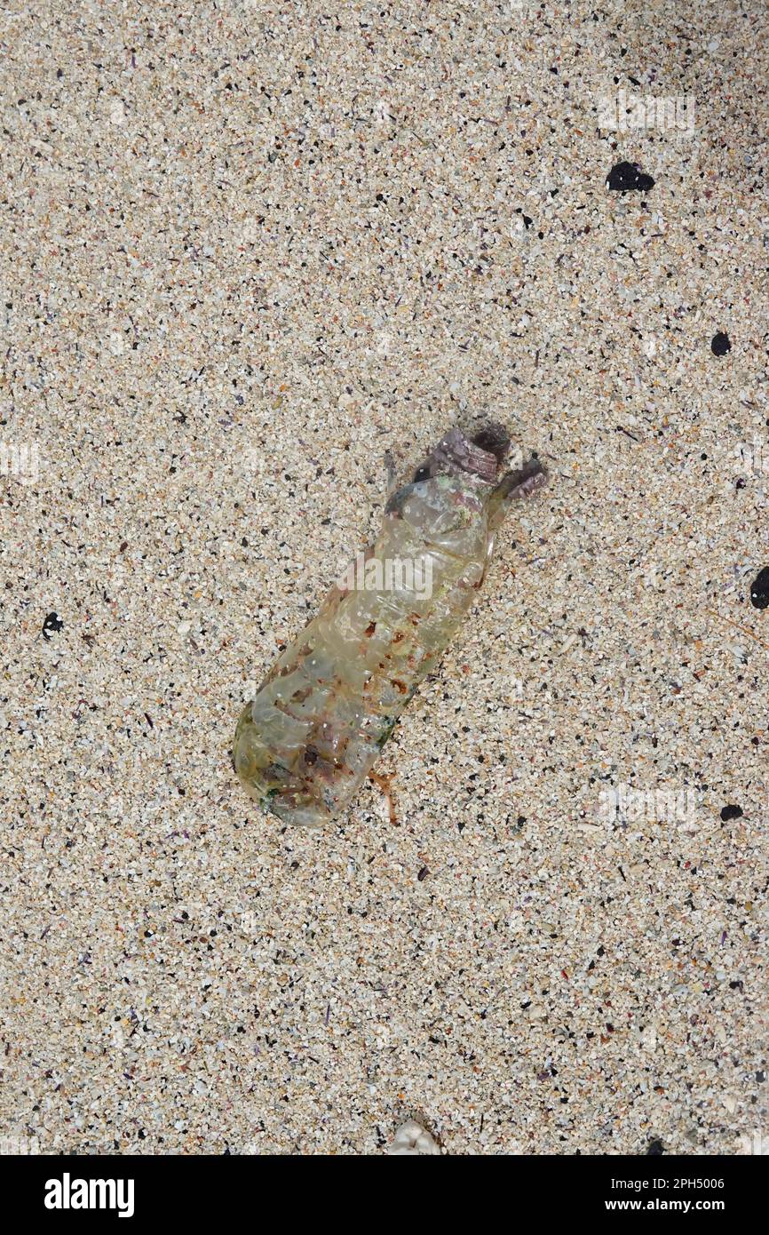 Mauritius pollution hi-res stock photography and images - Alamy