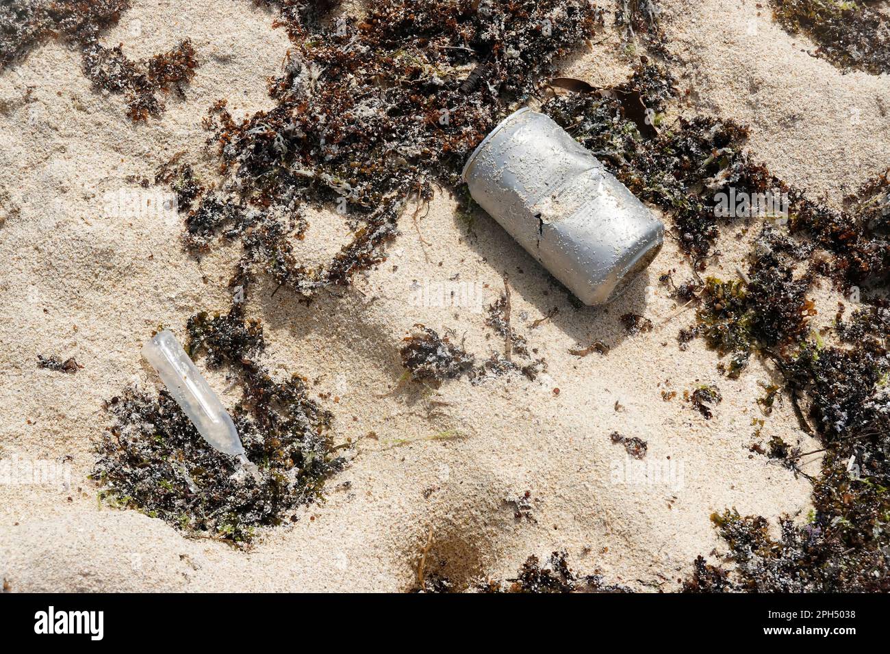 Plastic waste and rotten can, Mauritius Stock Photo - Alamy