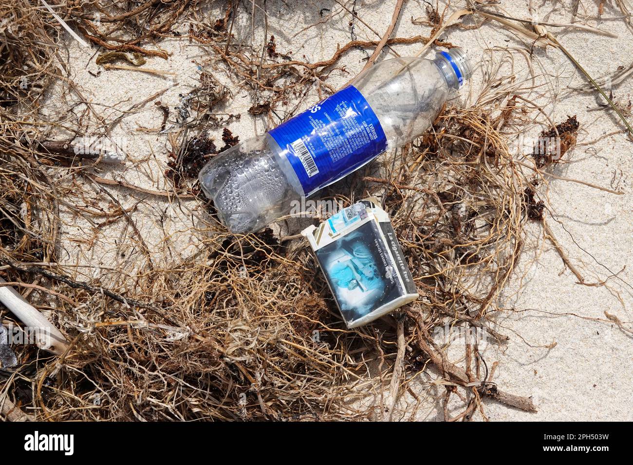 Plastic bottle, beach, symbolic, Mauritius Stock Photo - Alamy