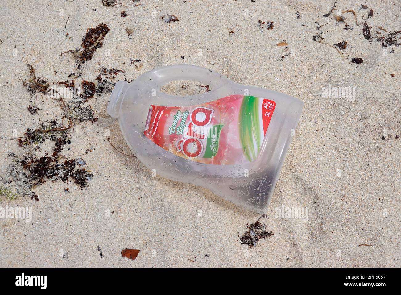 Plastic bottle, beach, symbolic, Mauritius Stock Photo - Alamy