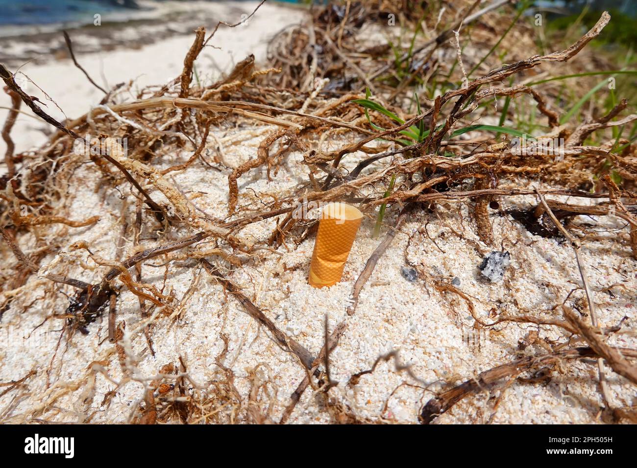 Cigarette end, beach, Mauritius Stock Photo - Alamy