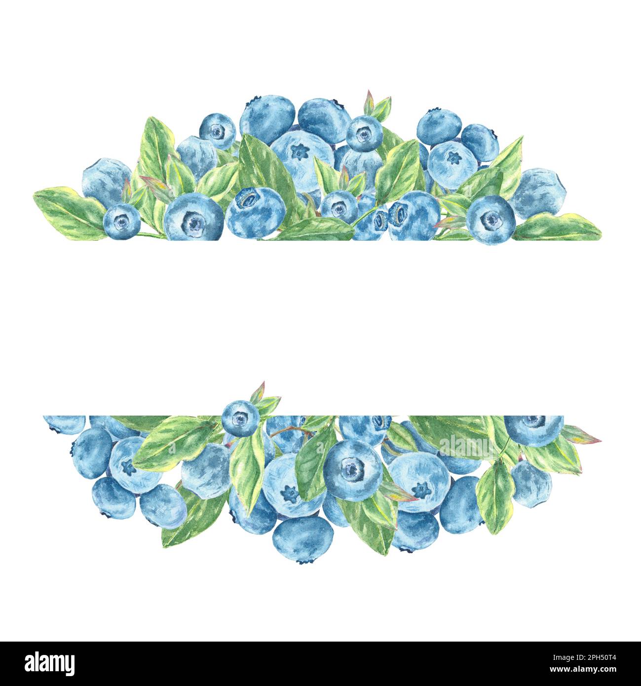 Watercolor blueberry illustration frame. Background hand-painted in ...