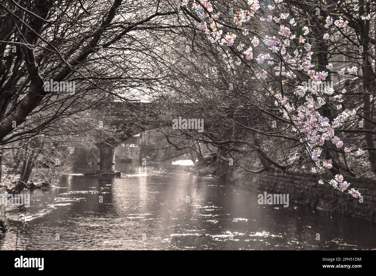 Calder bridge road hi-res stock photography and images - Alamy