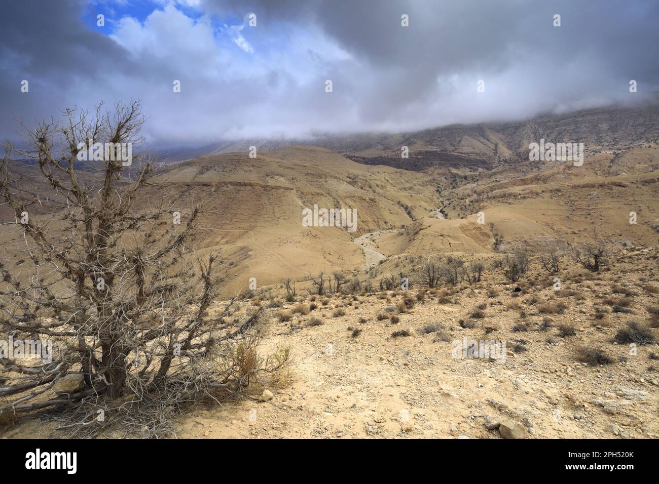 Shamakh spring jordan hi-res stock photography and images - Alamy